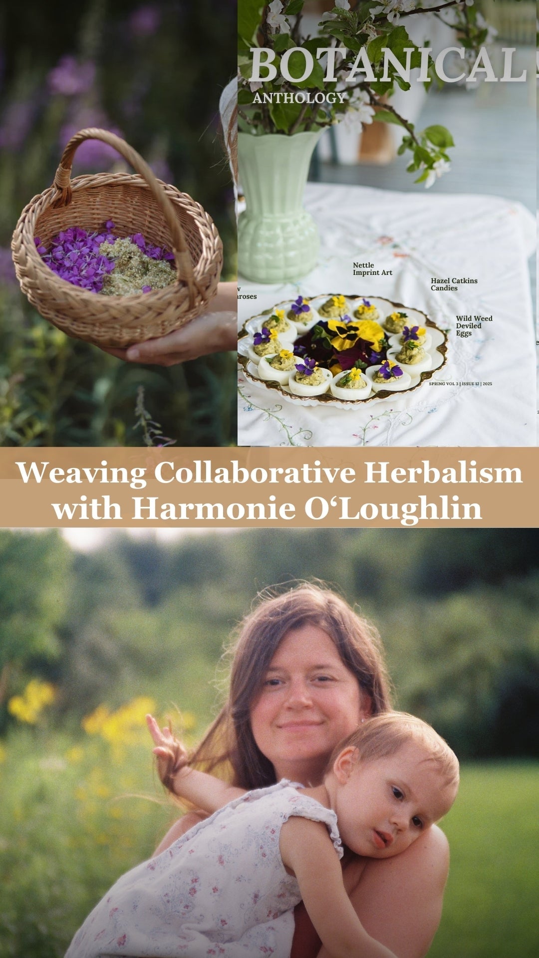 Weaving Collaborative Herbalism: Building a Seasonal Herbal Magazine w ...