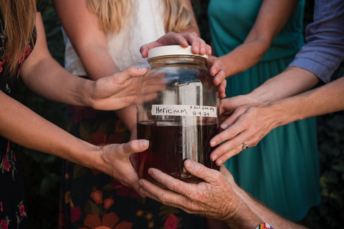 Classes – Dancing Willow Herbs