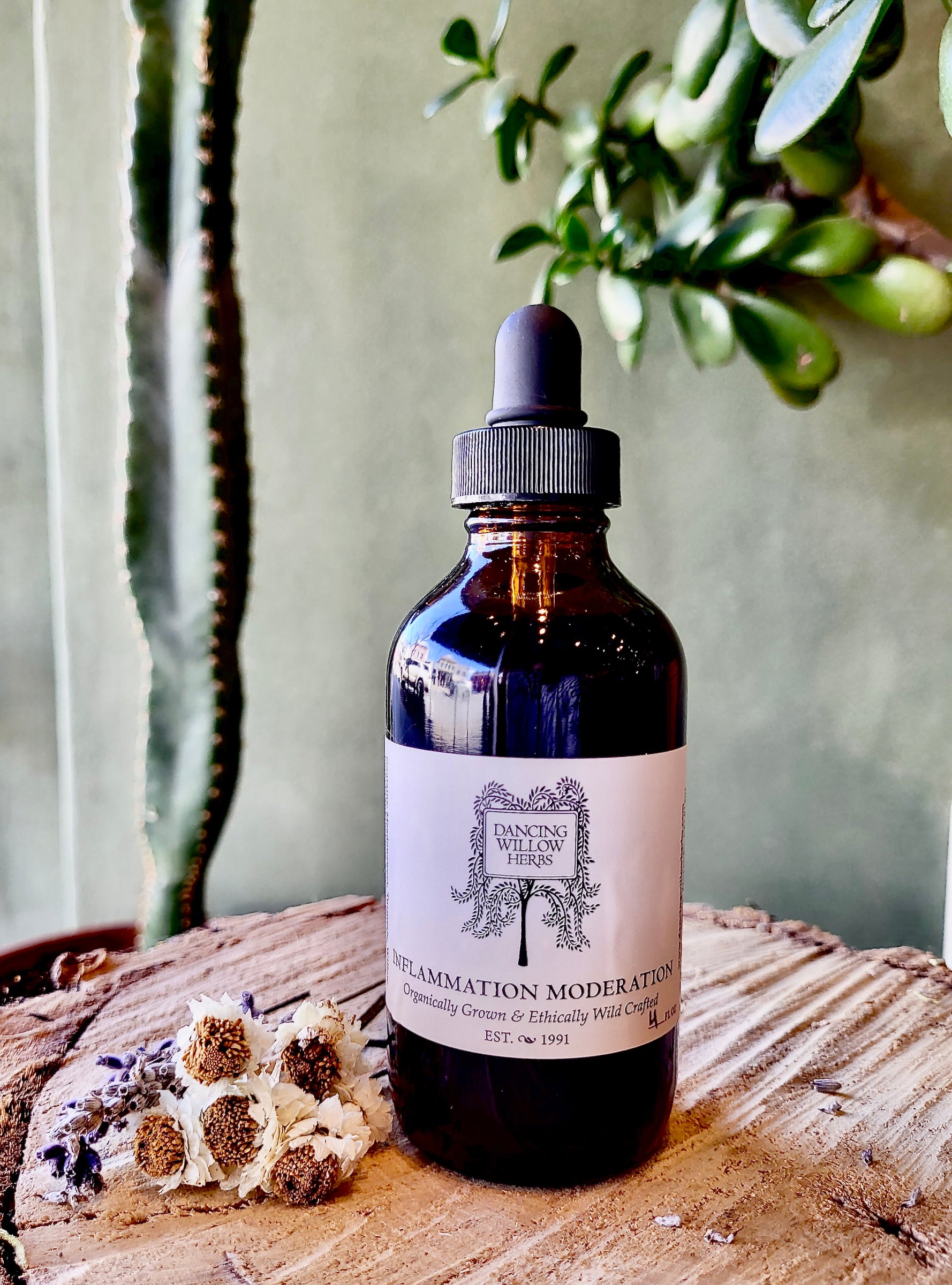 Herbal Formulas – Dancing Willow Herbs