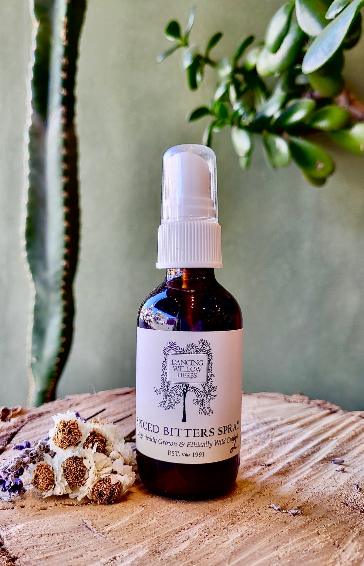 Spiced Bitters Spray – Dancing Willow Herbs