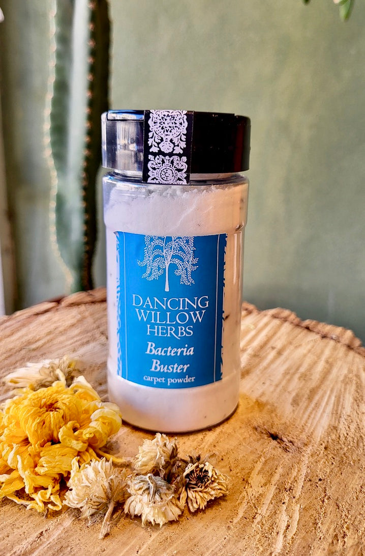 Healthy Home – Dancing Willow Herbs
