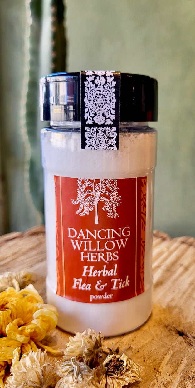 Healthy Home – Dancing Willow Herbs