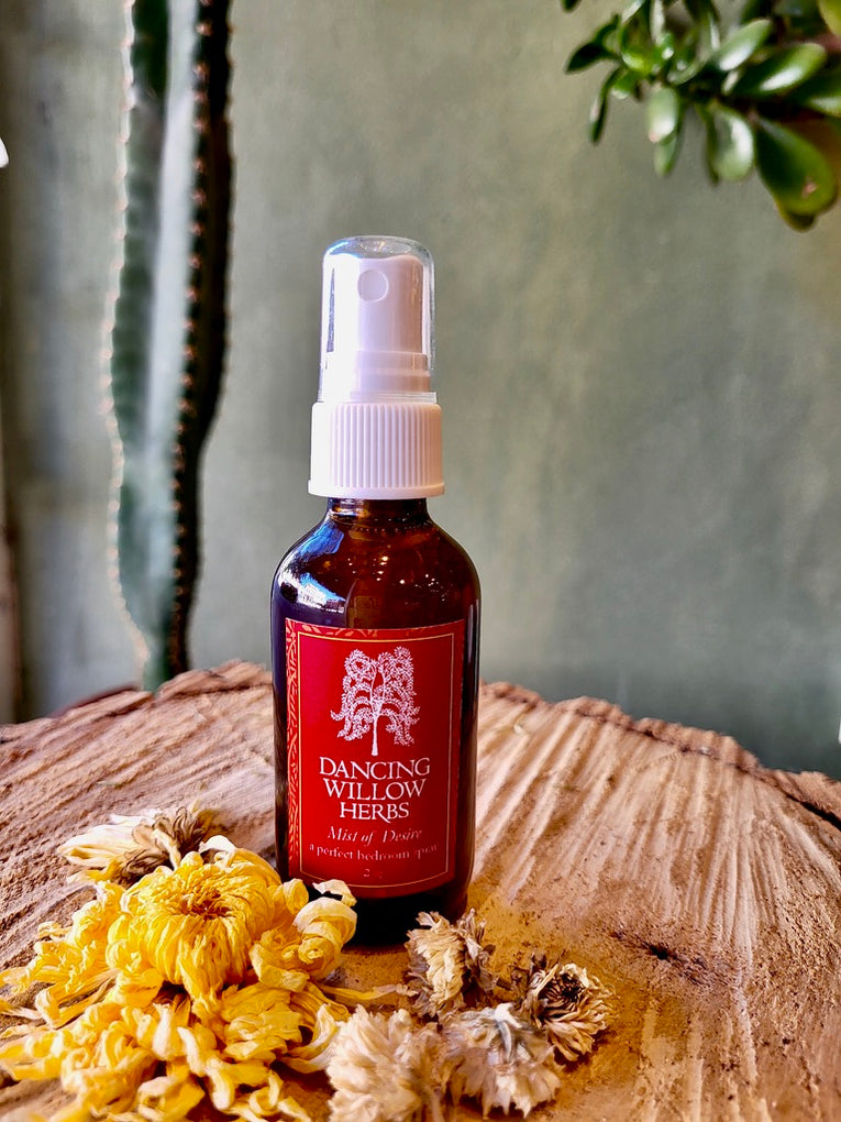 Healthy Home – Dancing Willow Herbs